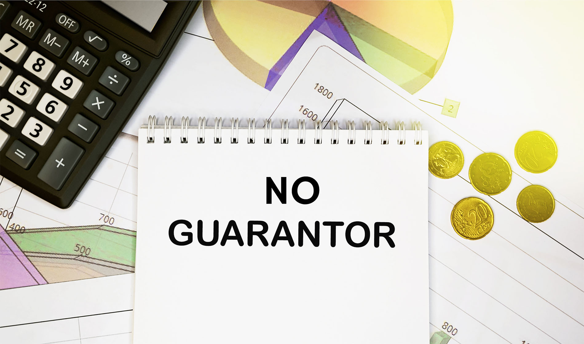 Loans without guarantor store